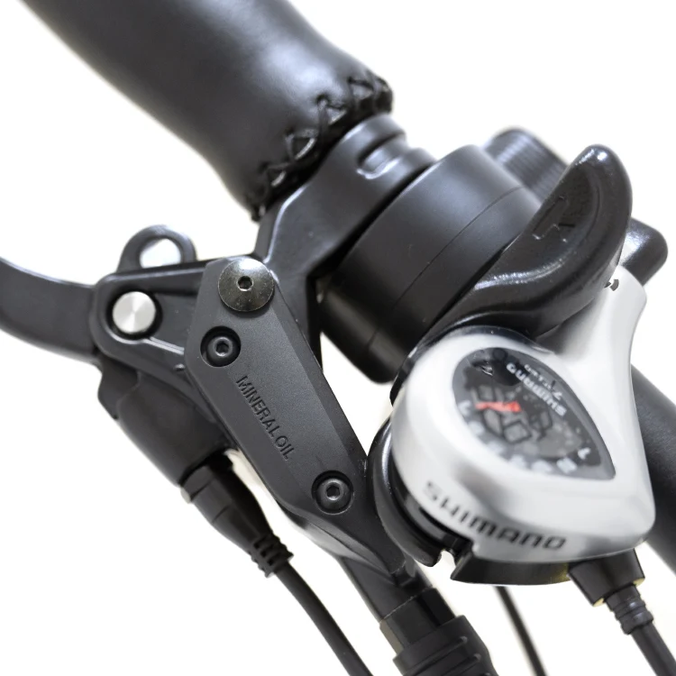 Bafang Ultra 1000W Electric Fat Tire Mountain Bike