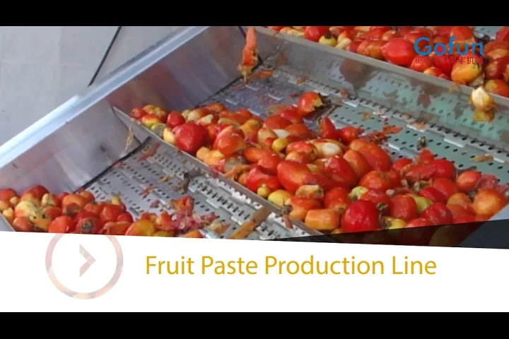 Tomato Concentrate Production Line Tomato Paste Ketchup Making ...