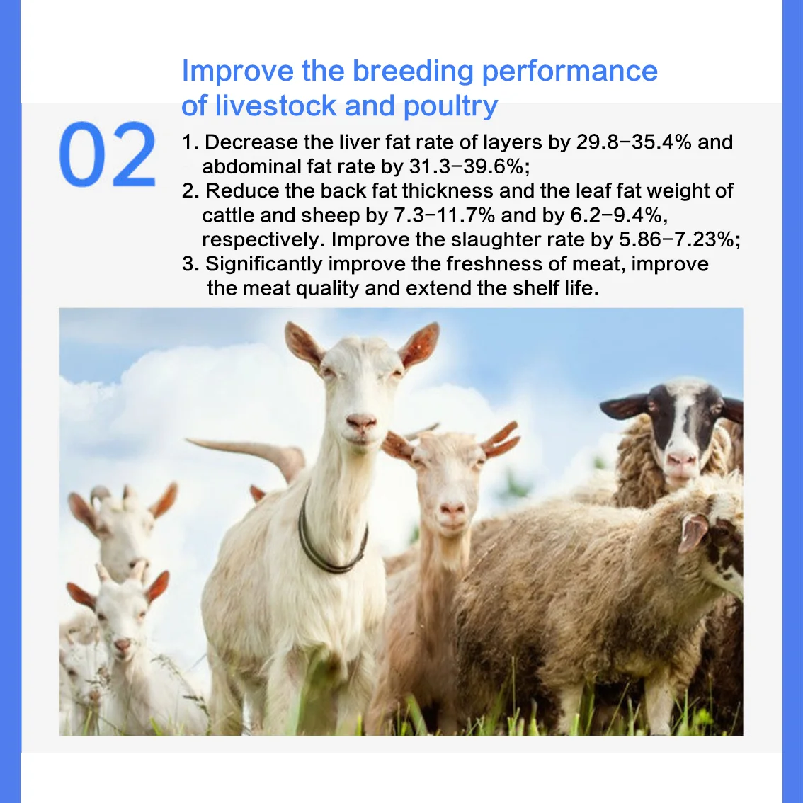 Diludine Animal Feed Improve The Quality Of Livestock And Poultry - Buy ...