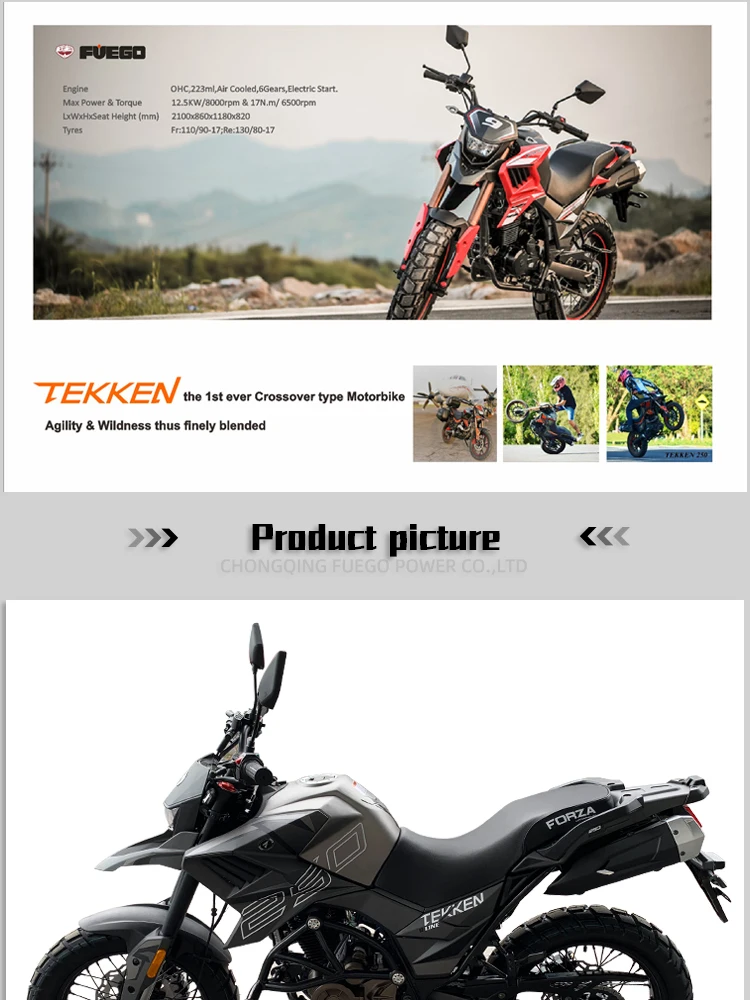 2022 TEKKEN 250CC Crossover Off-Road Motorcycle - Dual Sports Urban ...