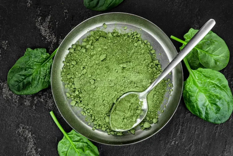 Best Price And High Quality Standard Natural Vegetable Powder Spinach ...