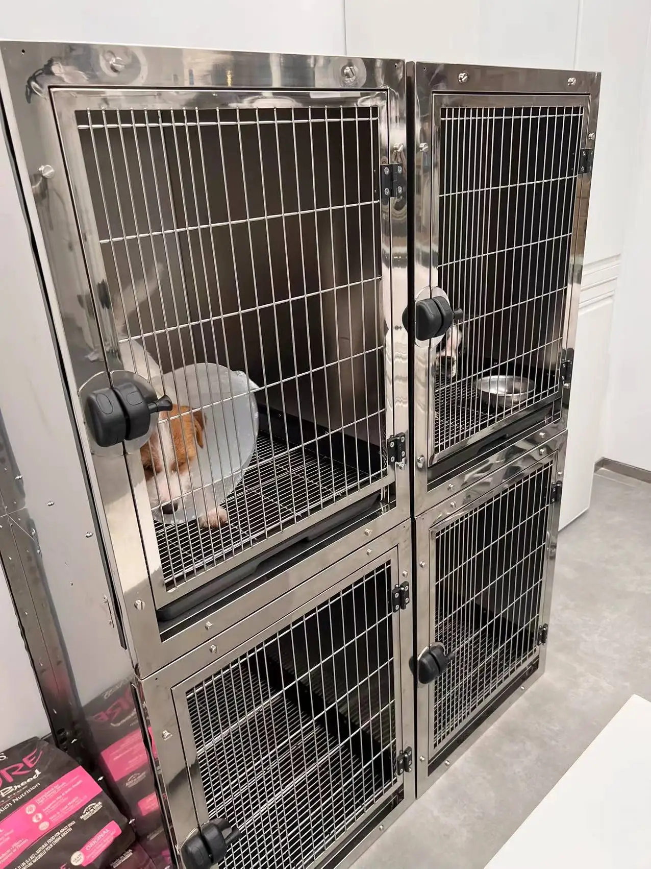 Veterinary Digital Radiography Device Veterinary Xray Digital Generator ...