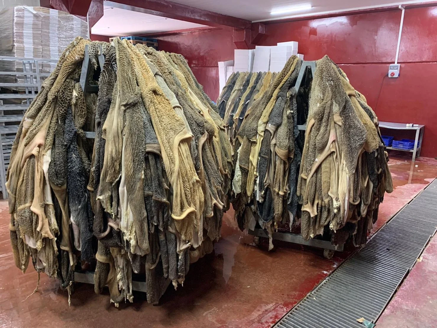 Frozen Beef Green Tripe - Buy Frozen Beef Tripe,Green Tripe,Beef ...