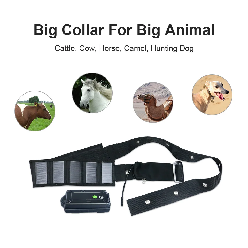 Goat Cow GPS Tracker With Solar Collar Real Time Tracking Powered Cow ...
