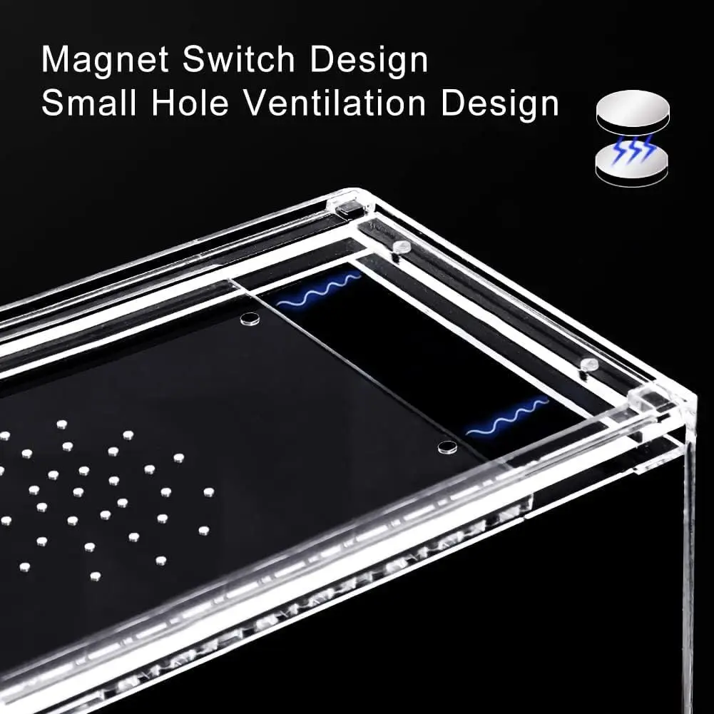 Custom Reptile Tank Enclosure - 5 Gallon Acrylic Display Case