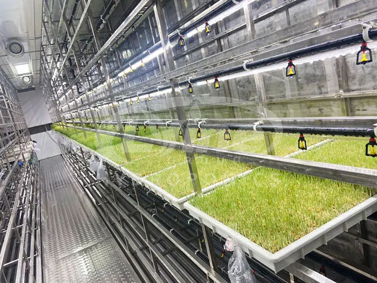 Vertical Hydroponic Barley Growing Shipping Container Farm Mobile ...