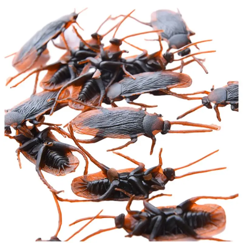 Premium Cockroaches Pretty Realistic Roaches Great Way To Play A Prank ...