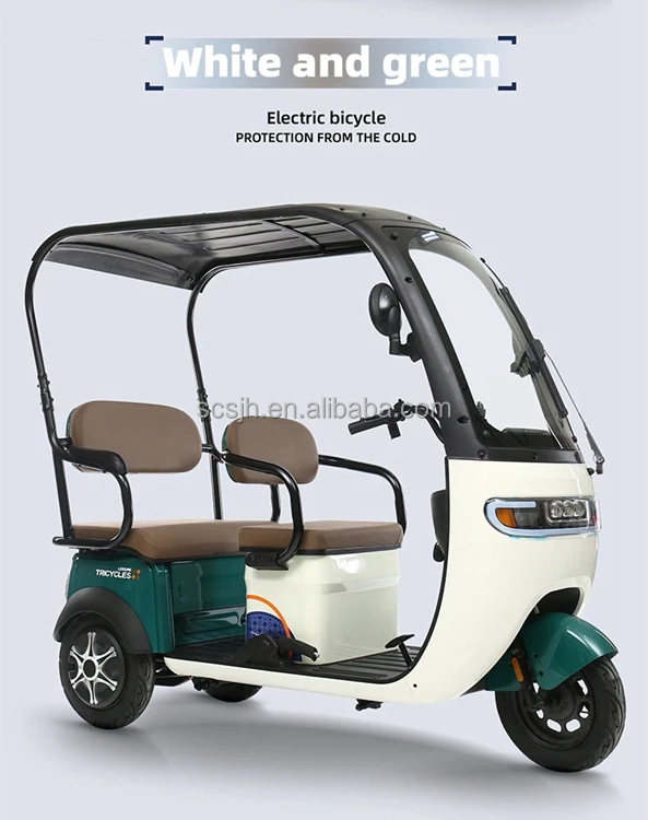 600W 48V Electric Tricycle with Roof - Perfect for Passengers