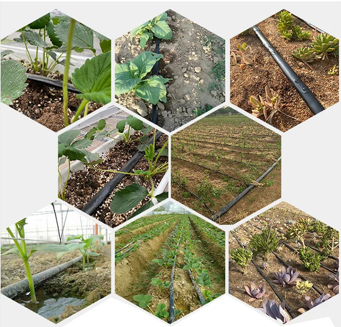 Agricultural Drip Irrigation Belt Pipe Canopy Planting Watering ...