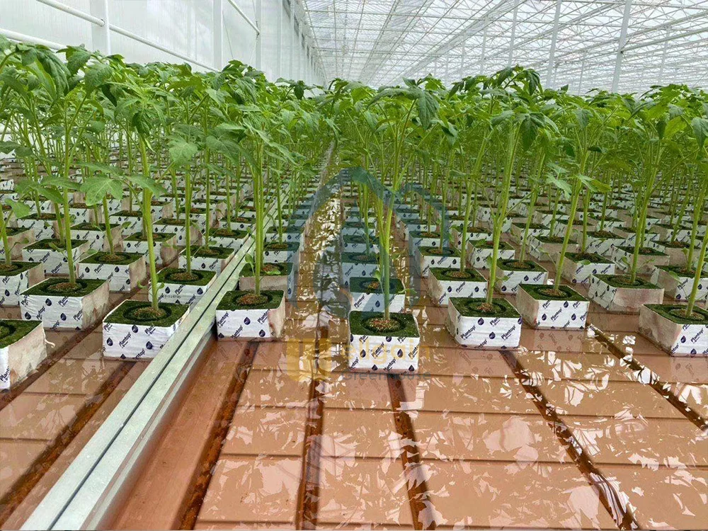 Hydroponic Flood Tables And Trays Ebb And Flow Rolling Bench - Buy ...