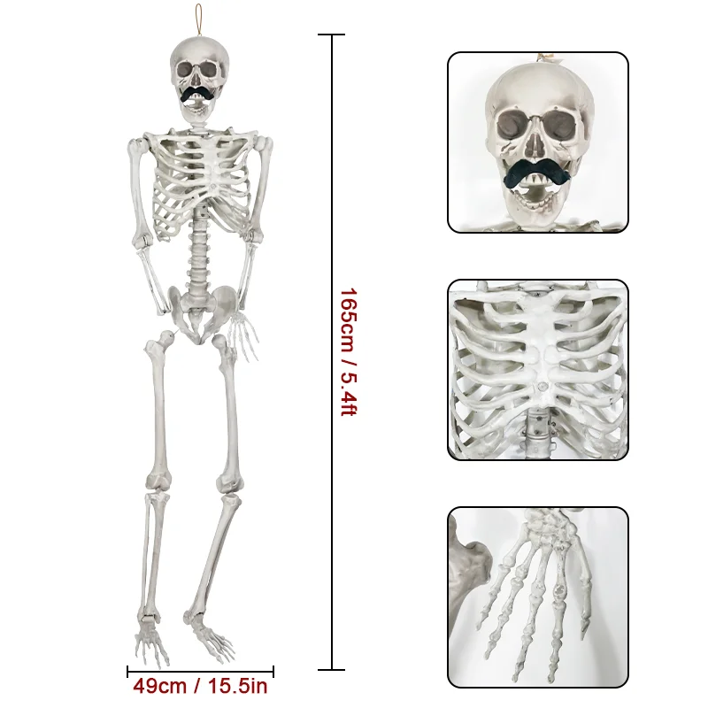 Halloween Scary Hanging Life Size Full Body Human Skeleton Movable ...