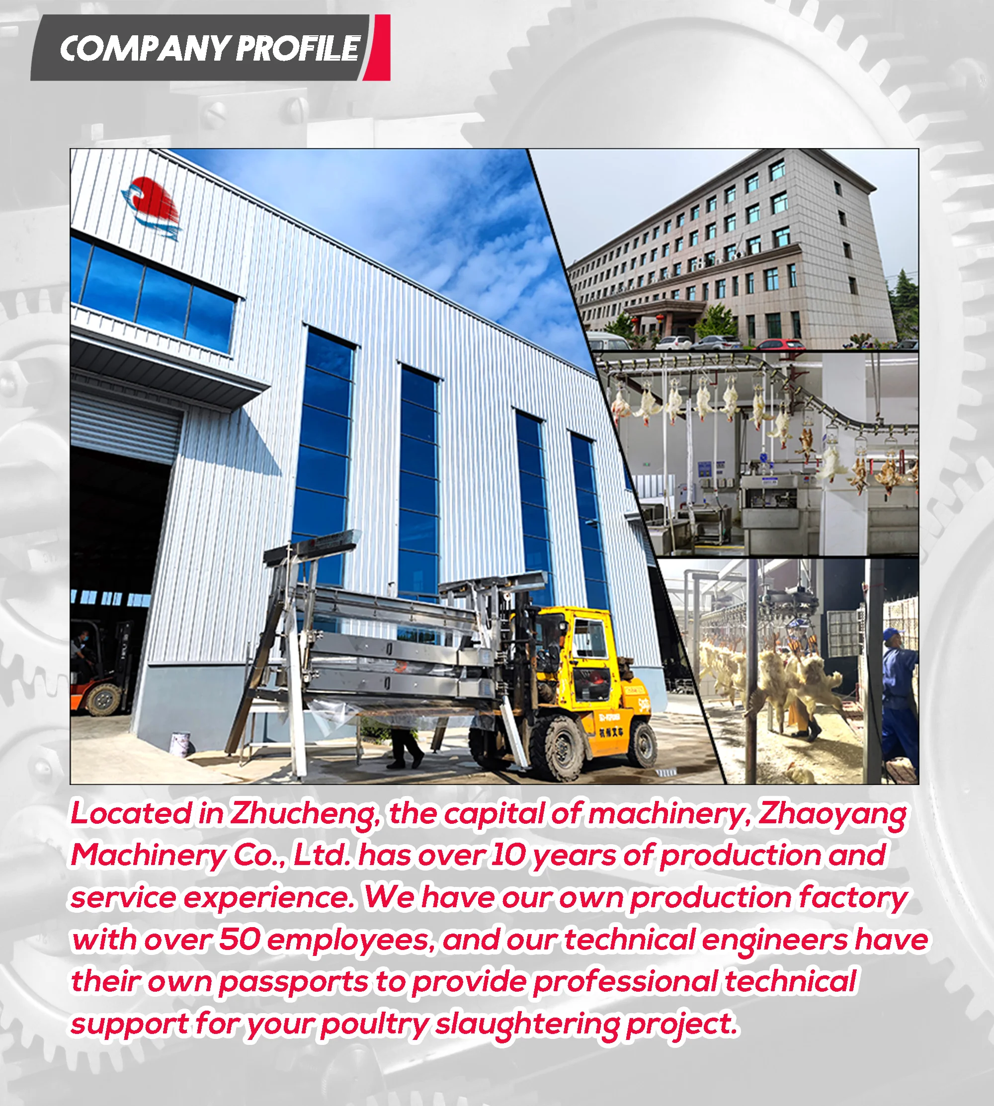 Small Scale Poultry Chicken Processing Slaughter House Slaughtering ...