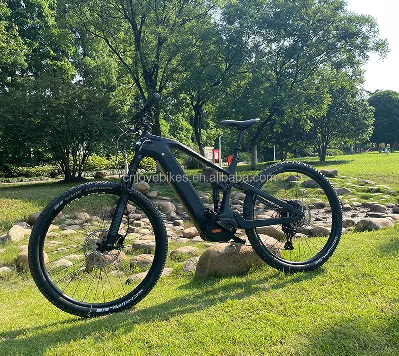 Joyebikes BAFANG M620 1000W Mid Motor Carbon Fiber Frame