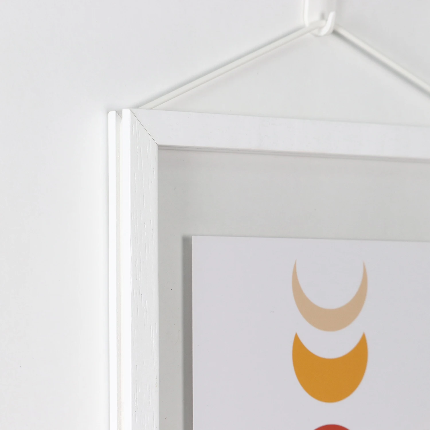 Pressed Flower Frames - Elegant Floating Picture Displays