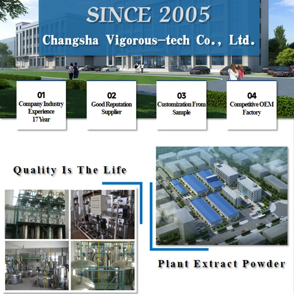 Kosher Halal Acmella Oleracea Spilanthol Extract Powder