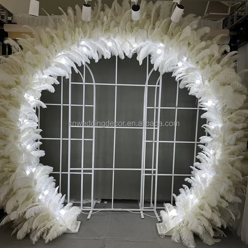 Feather Backdrop Wedding - Arch with Light Ostrich Feathers