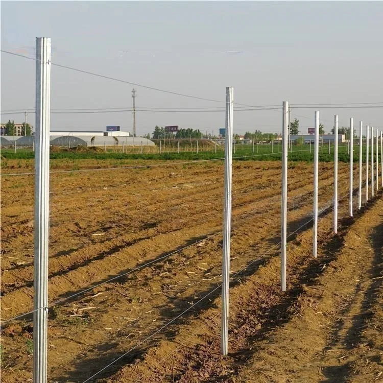 Galvanized Vineyard Post Grape Stake Post/vineyard Trellis Stake Metal Grape Trellis/galvanized ...