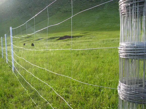 Alibaba.com: Heavy Duty Galvanized Cattle Fencing, Rust Proof Trellis ...