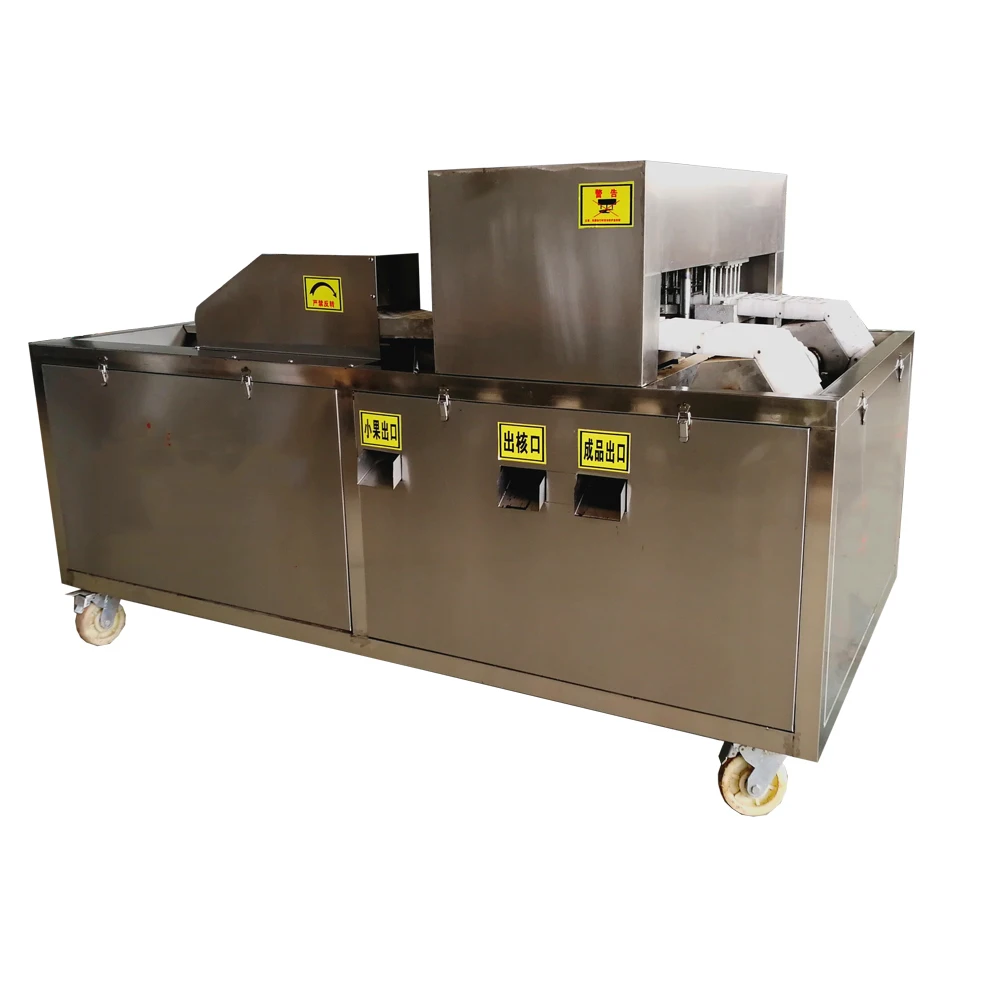 Factory Direct Sale Automatic Pitting Machine Cherry Pitting Machine ...
