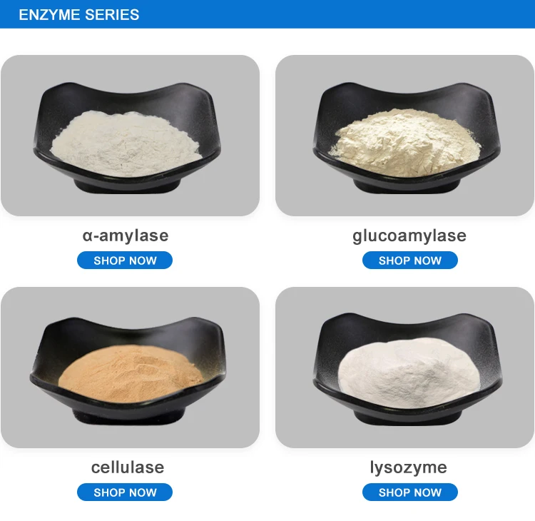 Good Taste Better Flavor Food Additives TG Enzyme / Transglutaminase ...