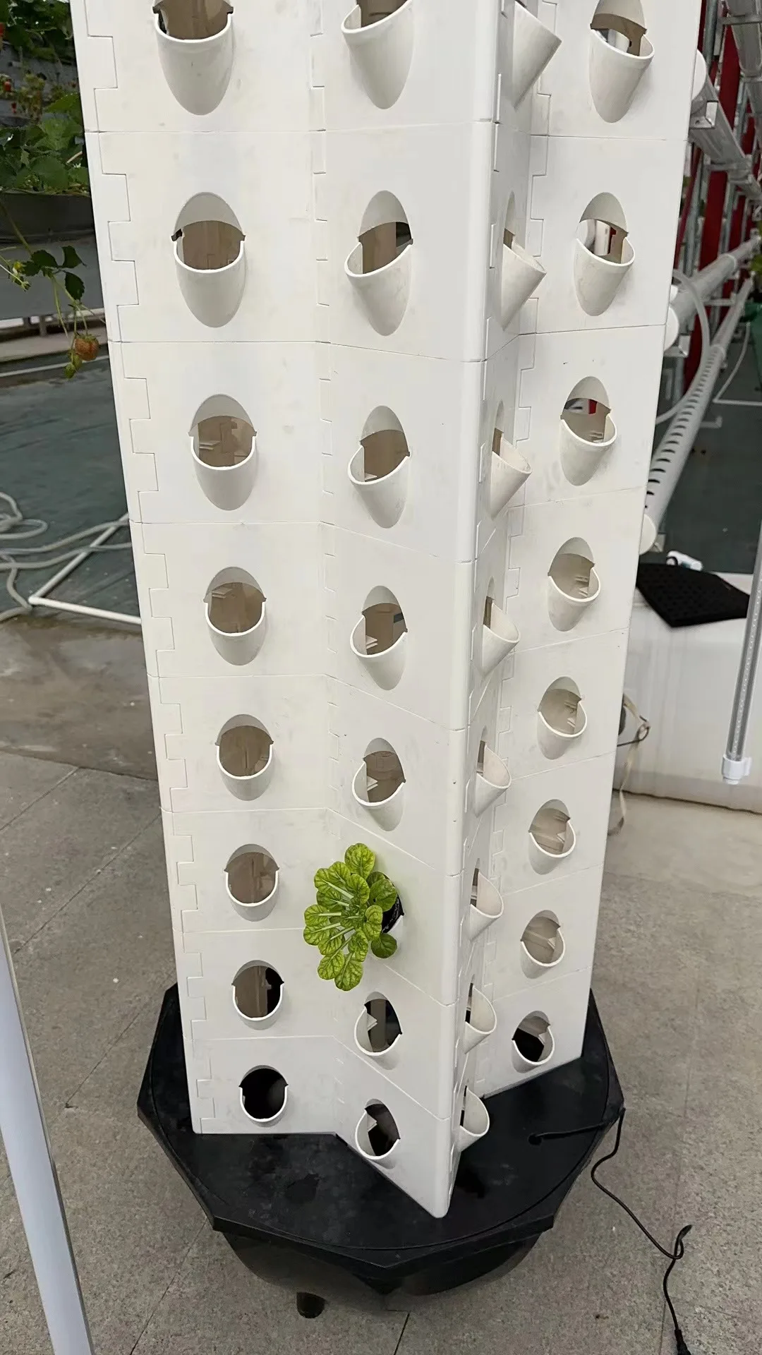 Vertical Aeroponic Grow Tower - Efficient Indoor Farming