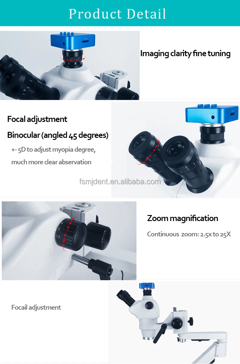 China Dental Operating Microscope Endodontie Oral Stereo Dental Digital ...