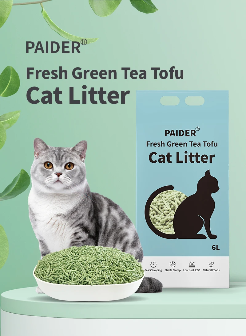Tofu New Pet Products 2024 Innovative Product Nikoro Cherry Blossom ...