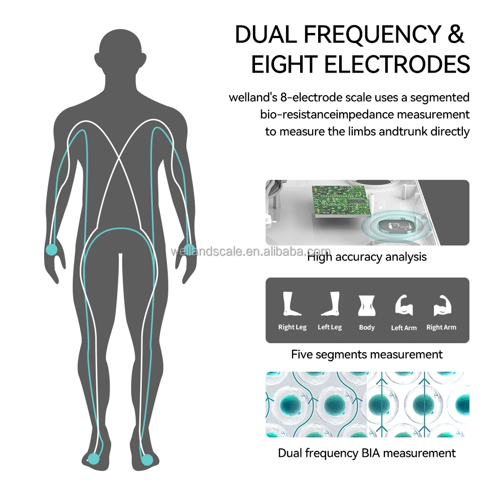 Welland Smart Body Scale - Accurate Weight and BMI Measurement