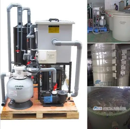 Pisciculture Ras Recirculating Aquaculture Systems Tilapia - Buy ...
