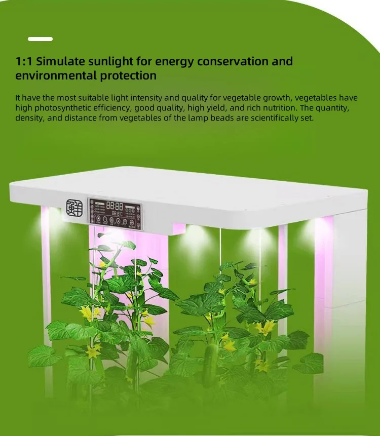 Hydroponic System with Spray Vegetables Planting Machine