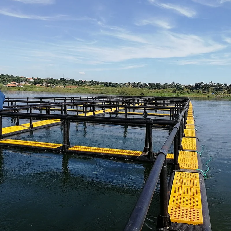 Aquaculture Square Fish Farming Cages Floating Net for Tilapia Catfish ...