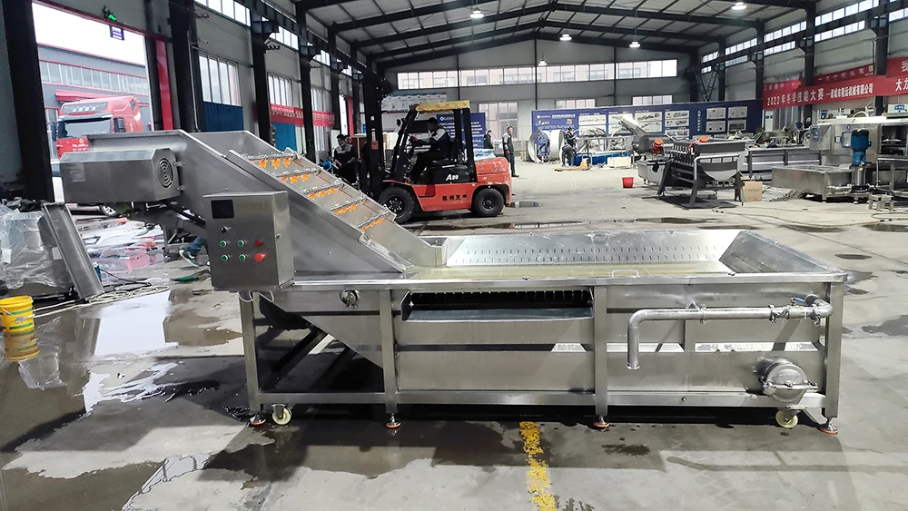 Complete 500kgs Mango Pulp Washing Sorting Machine Pineapple Peeling ...