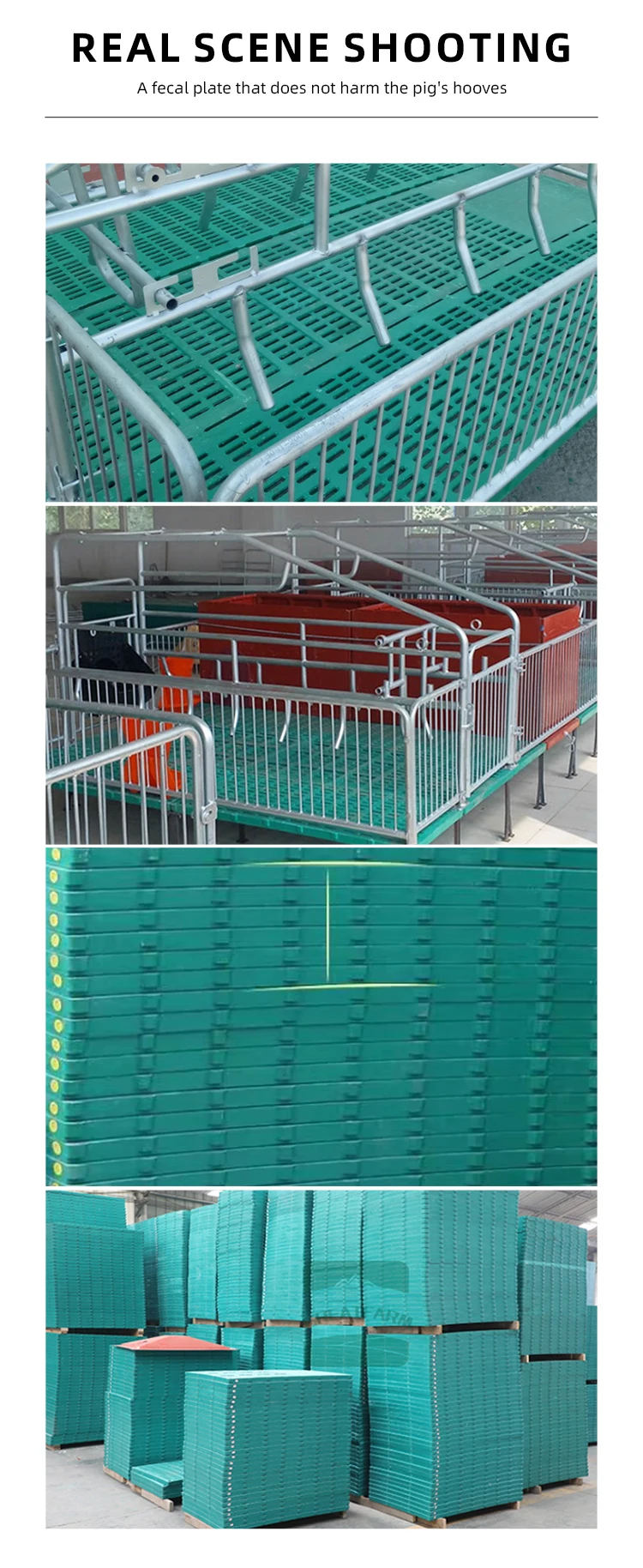 Pig Farm Floor System BMC Nursing and Fattenting Pig Farm Material ...