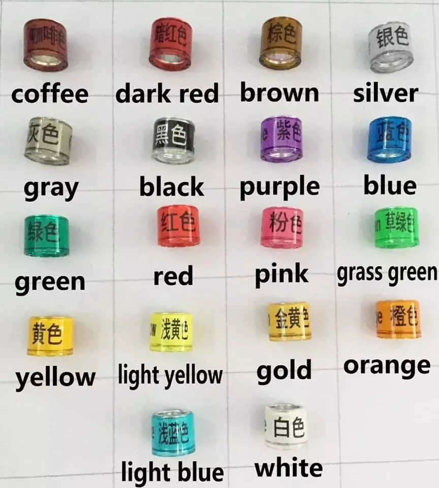 Good Quality Lazer Engraving Print Ring For Pigeon Personalizados ...