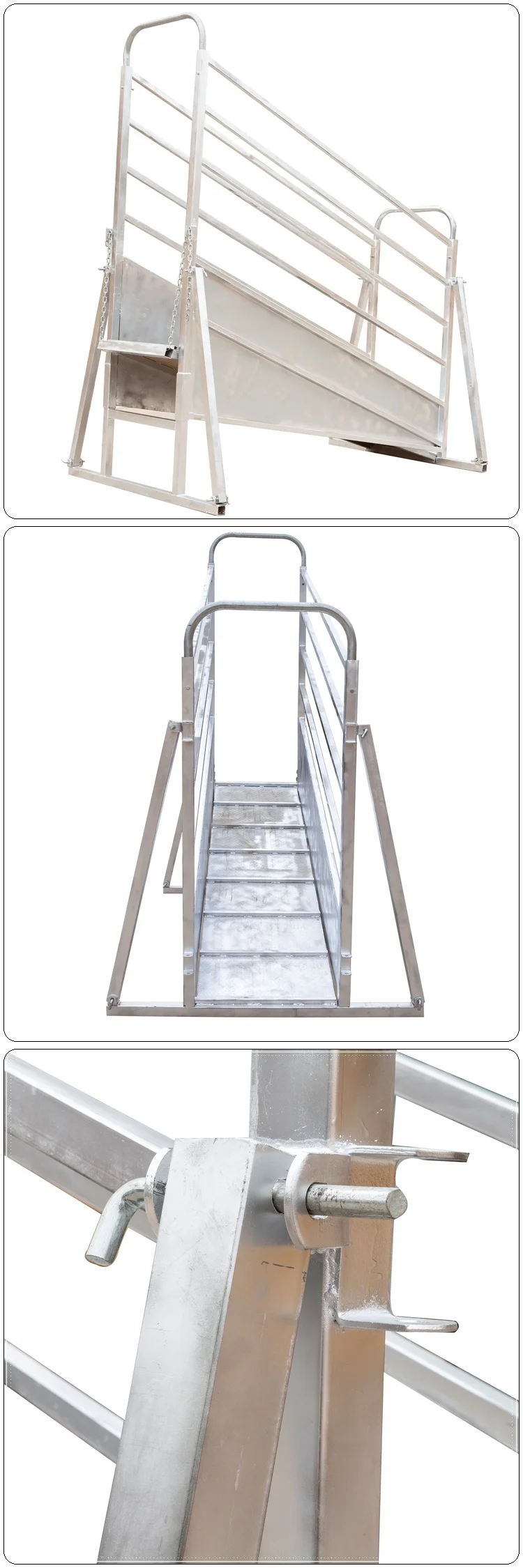 Galvanized Livestock Equipment Cattle Ramp - Durable & ECO