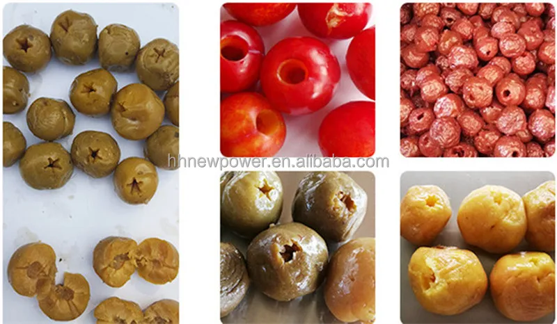 Efficient Plum Pitting Machine - Automatic Cherry Stoner