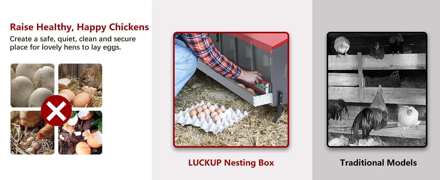 Heavy Duty Rollaway Egg Hen Nesting Boxes for Chicken