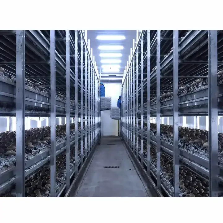 Mushroom Rack Shelves - Durable Aluminium Growing Solutions