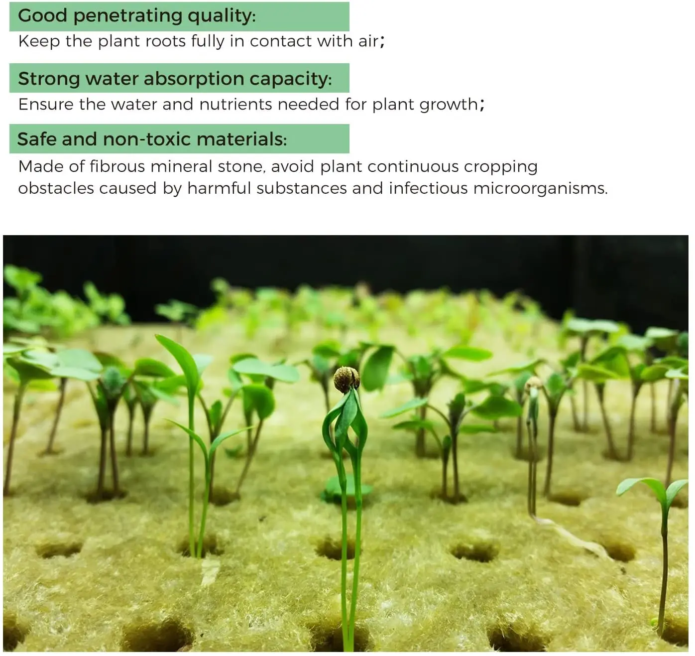 Wool Planting Cubes Droponic Nutrients Garden Growing System Hydroponic ... Wool Planting Cubes Droponic Nutrients Garden Growing System Hydroponic ...