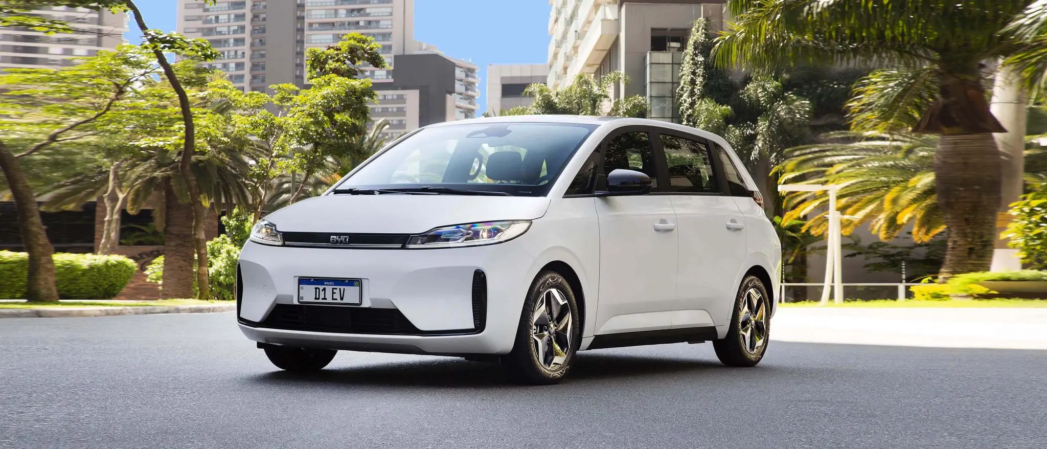 High Quality Fast Charging Long Endurance 305km Byd D1 Car Electric ...