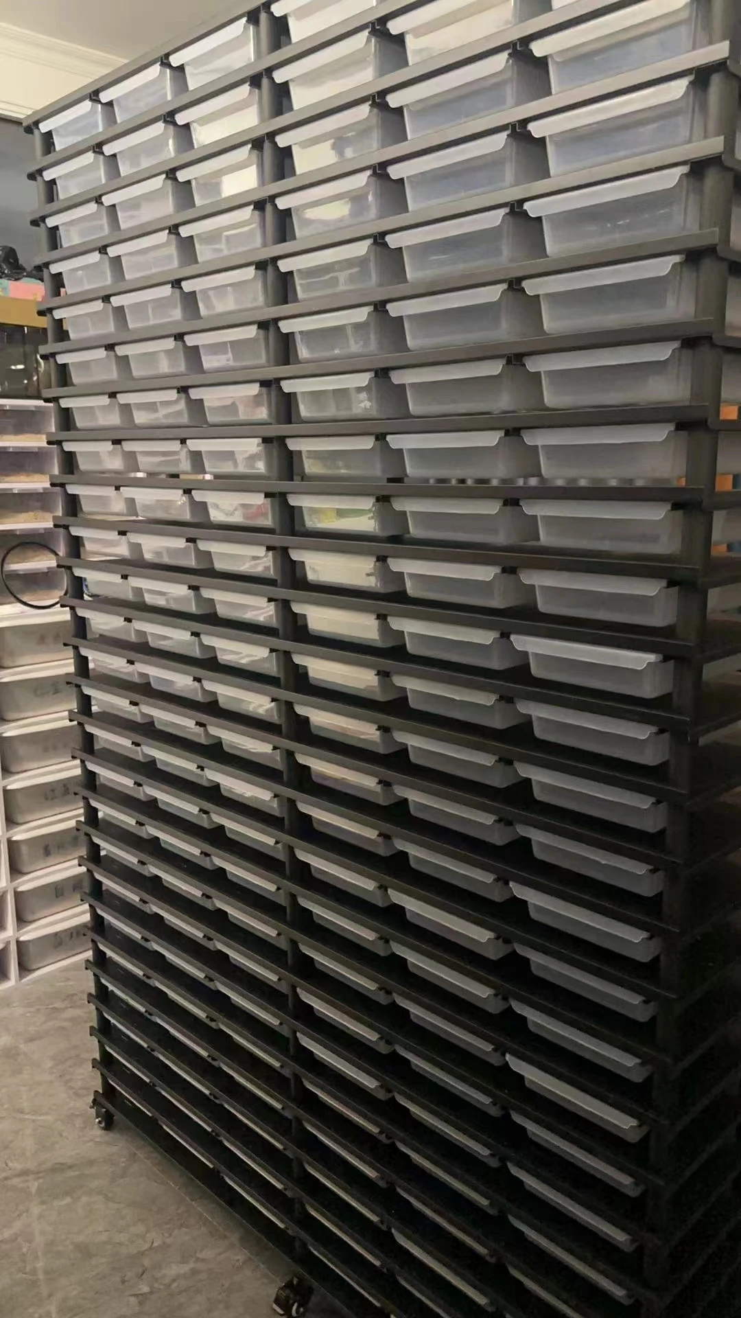 Snake Racks - Sustainable Solutions for Reptile Enclosures