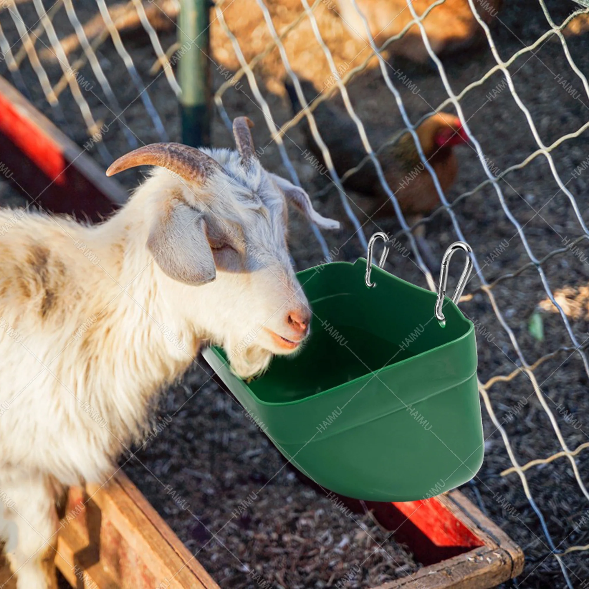 New Plastic Hook Over Chicken Feeder And Drinker Mountable Livestock ...