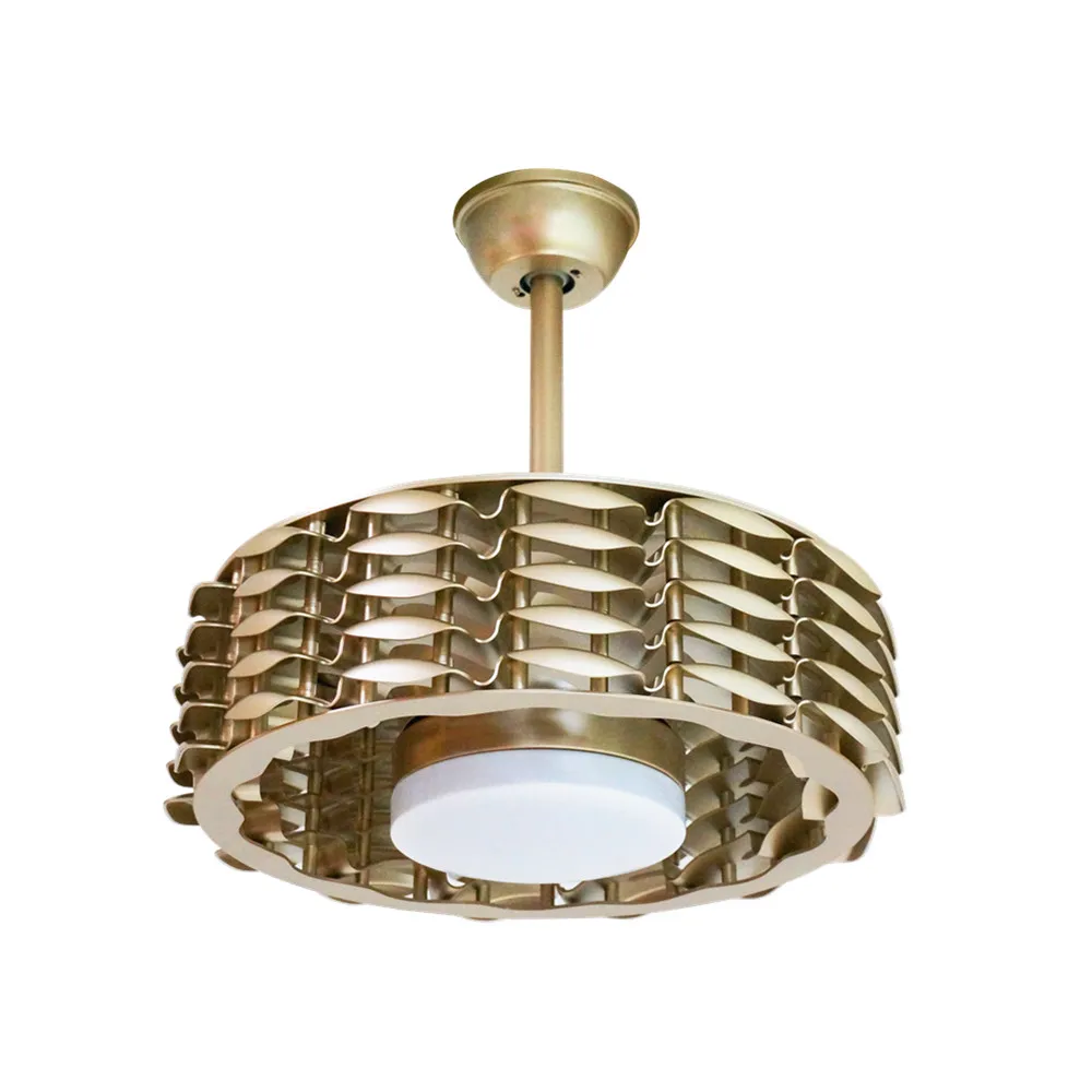 1stshine Ceiling Fan Modern Decorative 22 Inch Brushless Inverter Dc ...