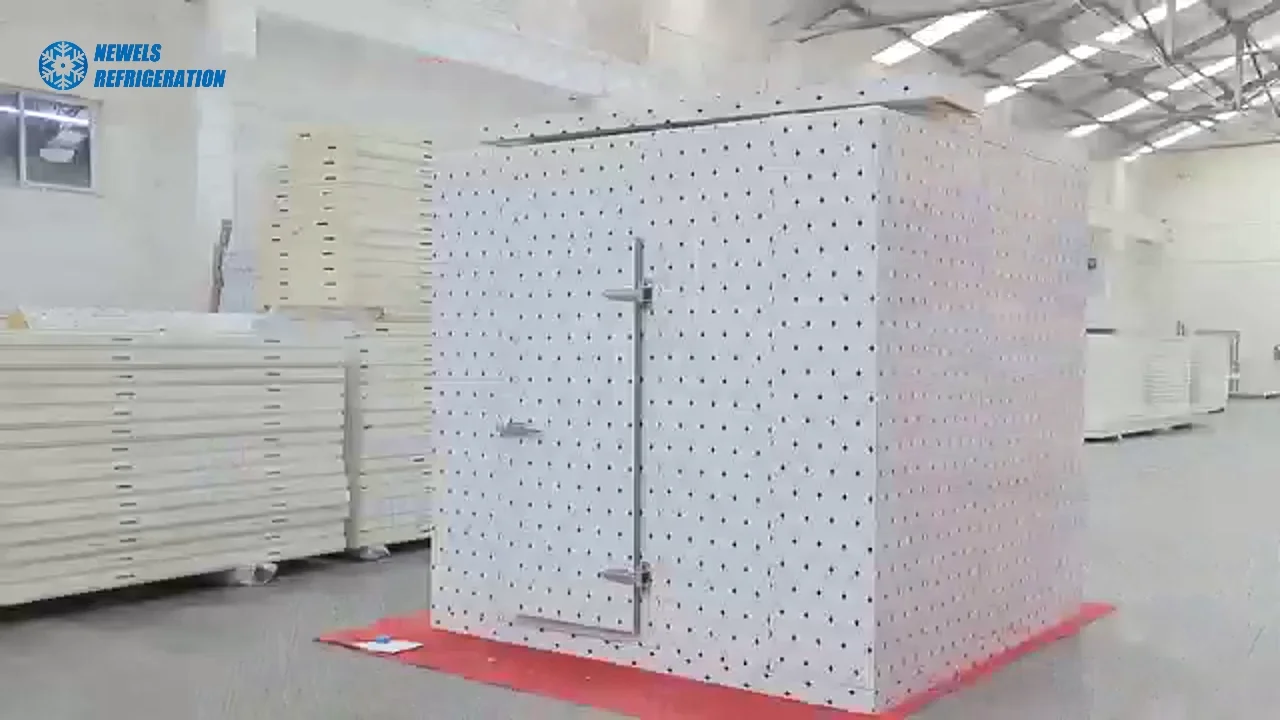 Newels Walk In Cooler Walls Camlock Pu Steels Cold Room Multifunction ...