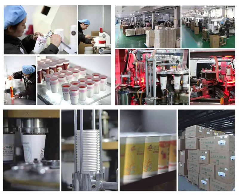 Free Samples of Single/Double Side PE Coated Craft Paper Cup Roll for ...