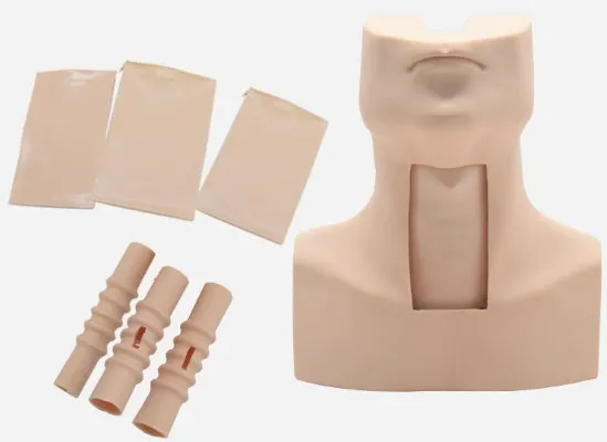 Advanced Tracheostomy Simulator - Medical Emergency Training