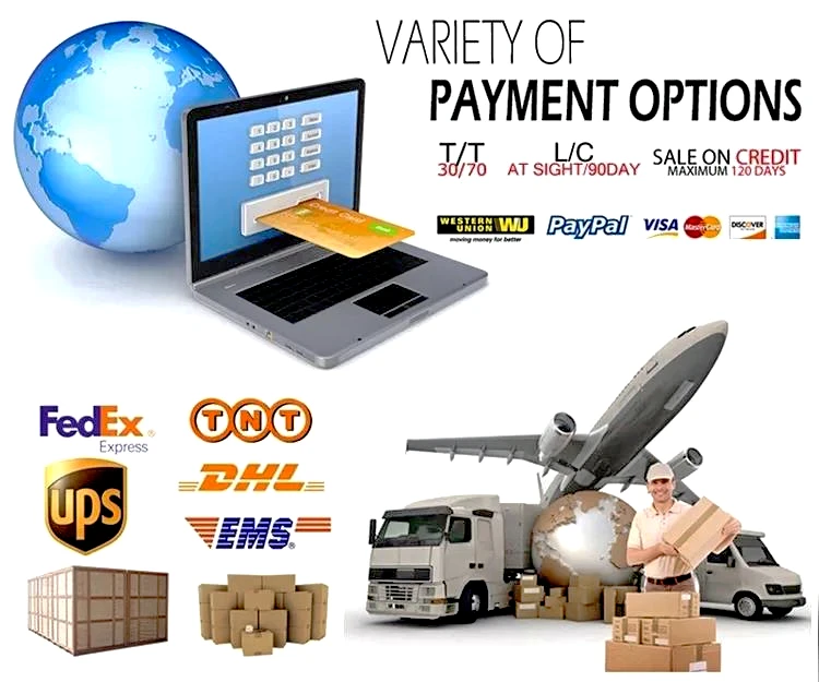 TRANSIT Everest Original Timing Chain Tensioning Guide Rails 1704049 ...