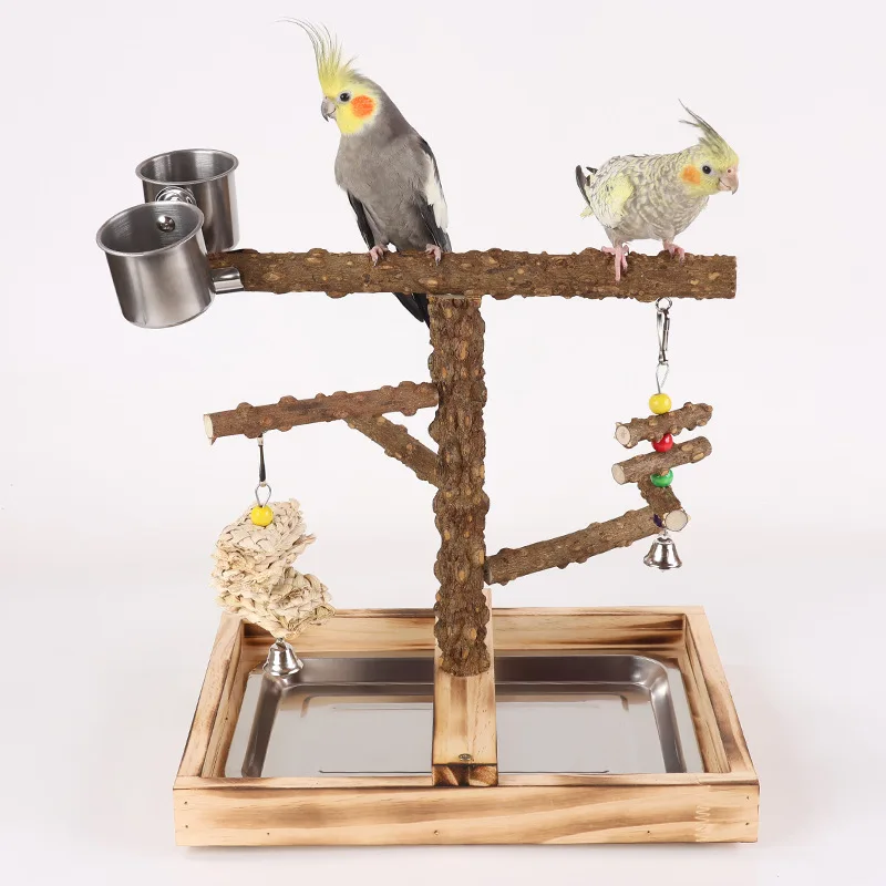 Qbellpet Solid Wood Parrot Perch Stand - Training & Toy