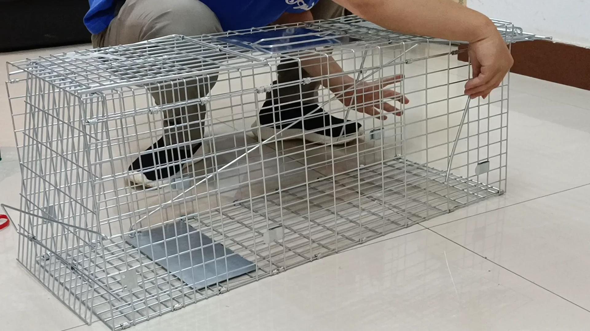 64x19x26 Cm Green Powder Coated Steel Mesh Live Traps For Mice - Buy ...