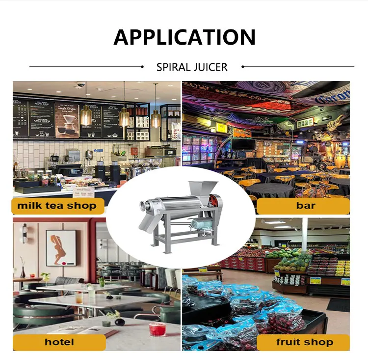 Food Factory Fruit Vegetable Machine - Puree & Juice Maker